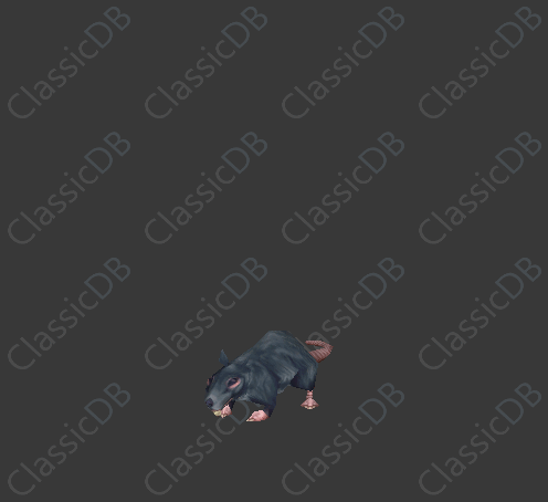 Black Rat - NPC - Classic wow database