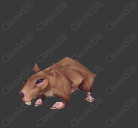 Dig Rat - NPC - Classic wow database