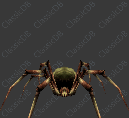 Young Night Web Spider - NPC - Classic wow database